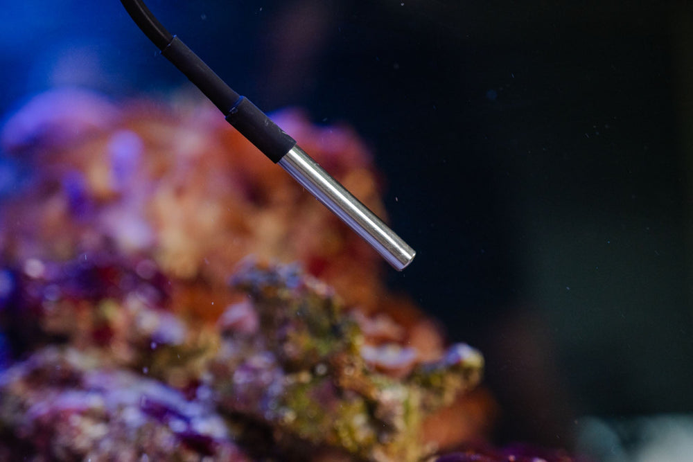Water Temperature Monitoring - Shelly USA